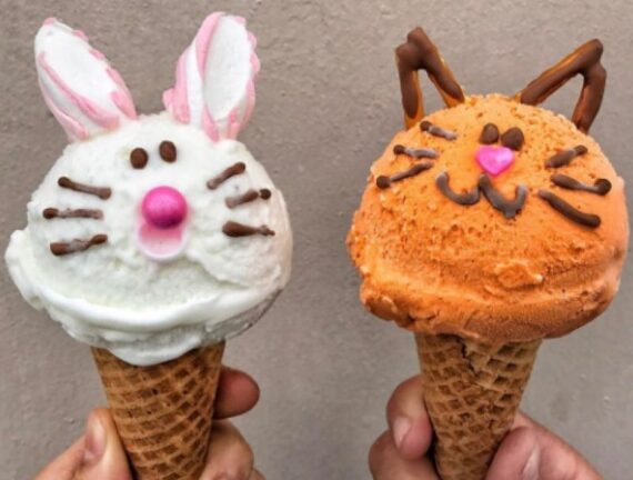 10 Creative Ice Cream Shapes You Need To Check Out